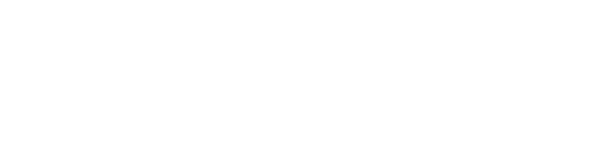 Authorized IT Distributor Dubai, UAE - Zen